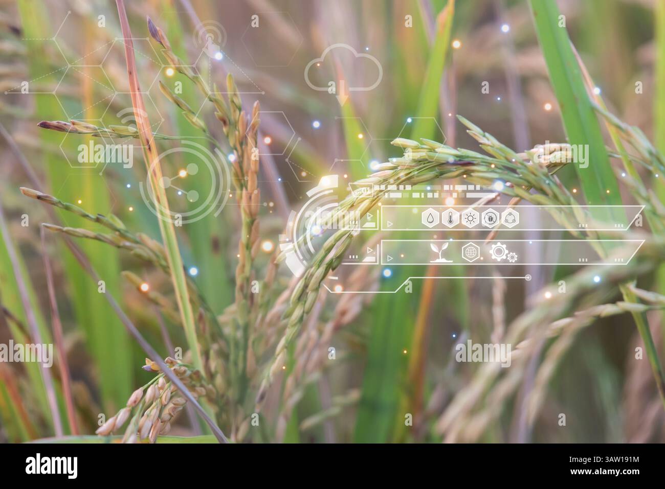 Smart farm digital icon and futuristic AI data infographic of Landscape ...