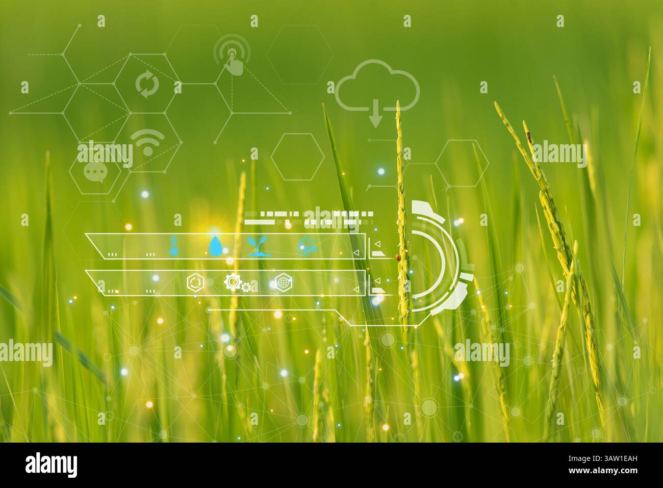 Smart farm digital icon and futuristic AI data infographic of Landscape ...