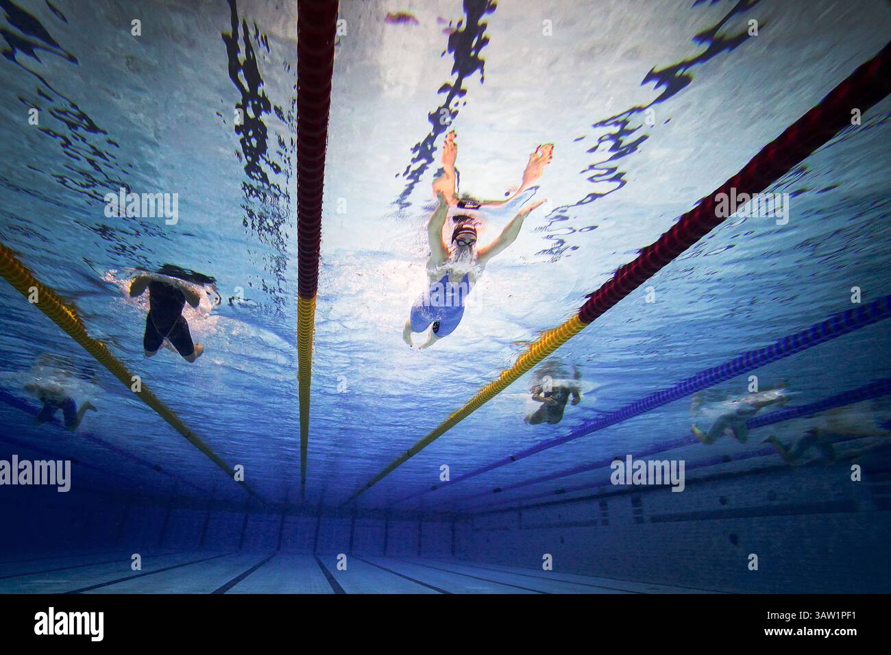 A general view of swimming on day five of the Aquatics GB Swimming ...
