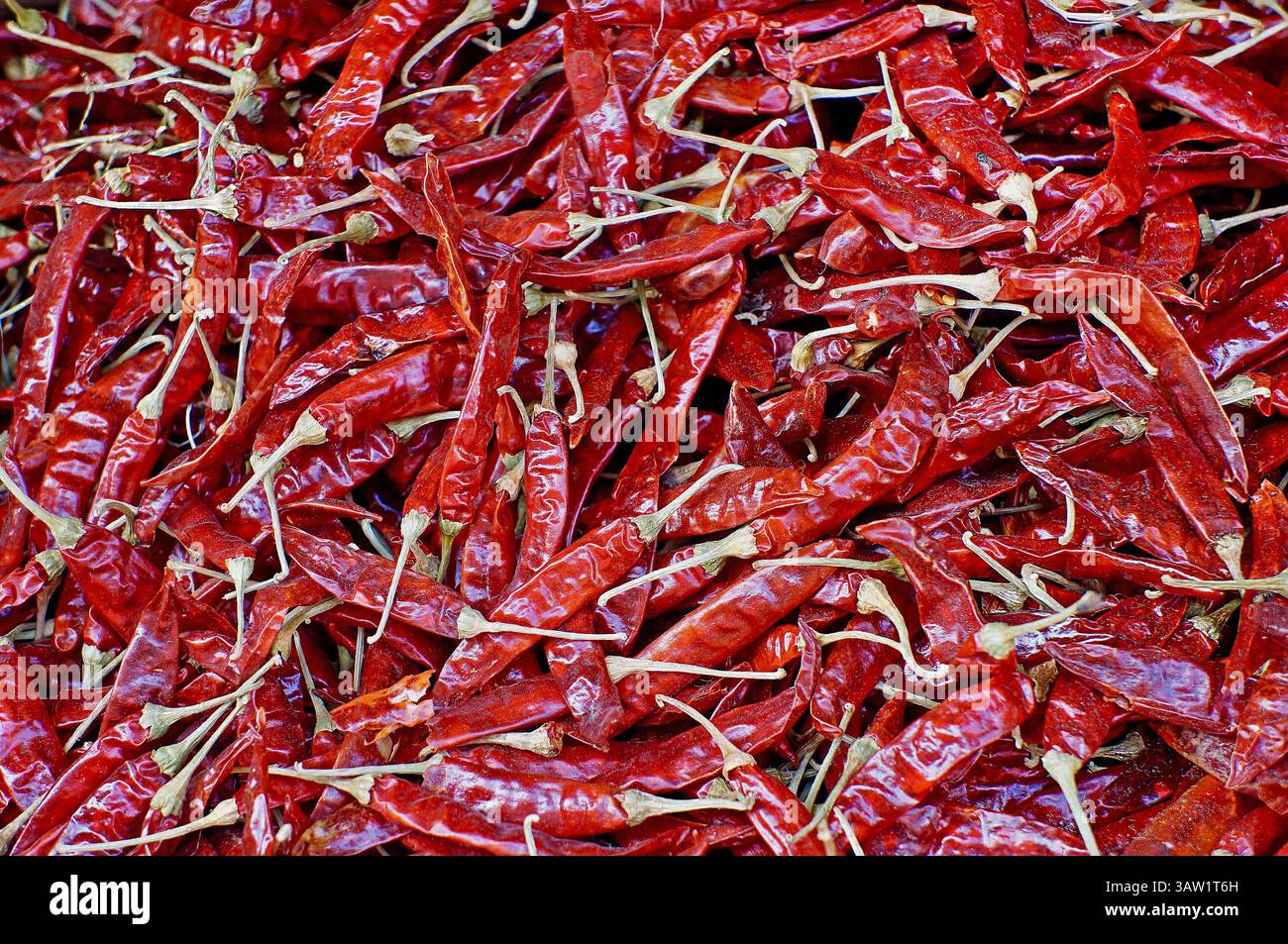 Many pods of dried hot Indian red chili peppers Stock Photo - Alamy