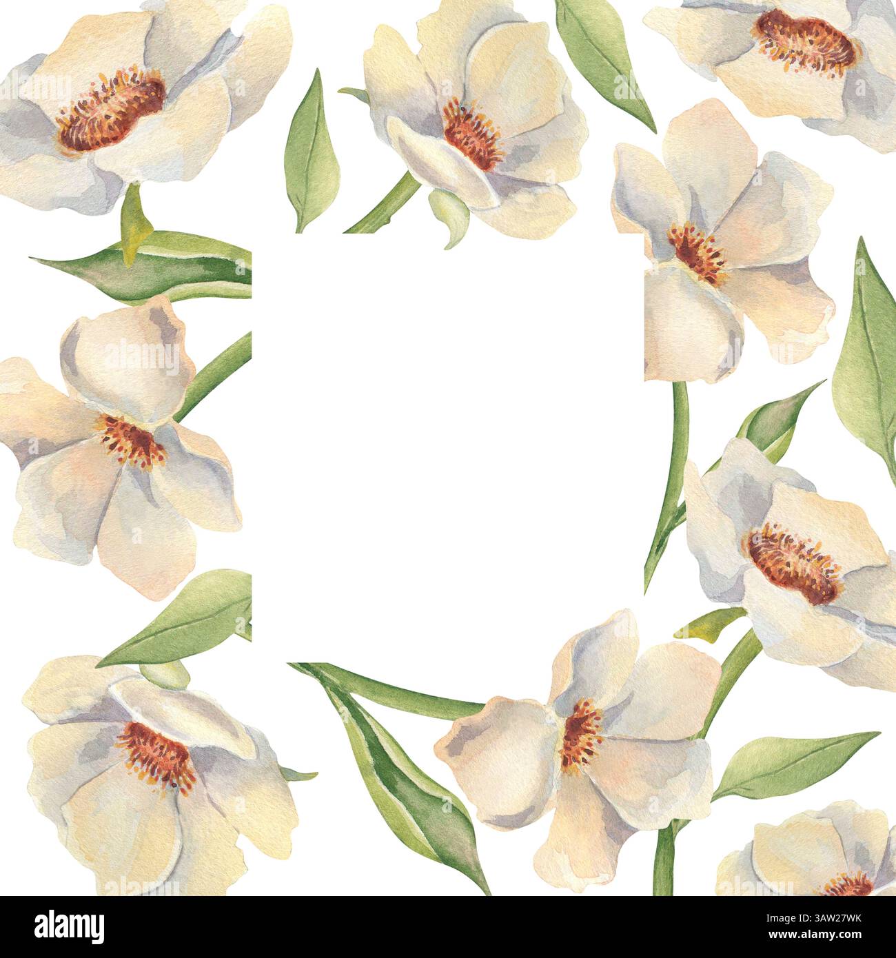 Pastel poppy flowers frame hand drawn in watercolor isolated on white ...