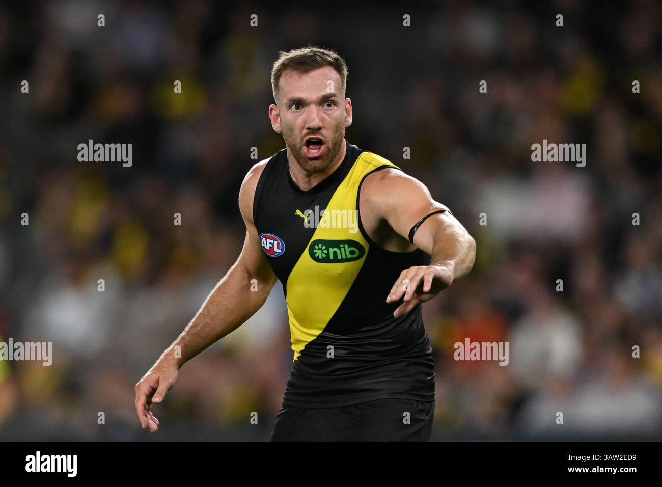 Melbourne, Australia. 19th Apr, 2025. Noah Balta of Richmond reacts in ...
