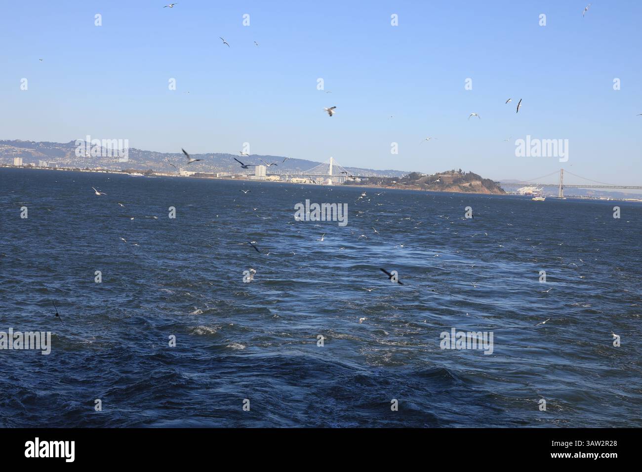 The Alcatraz island, lighthouse and Warden's House Stock Photo - Alamy