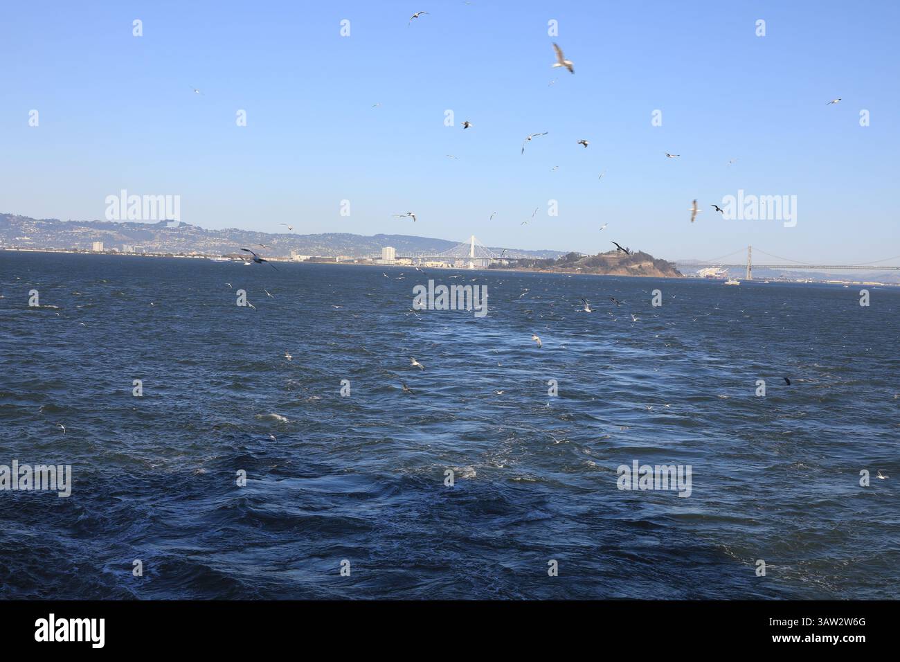 The Alcatraz island, lighthouse and Warden's House Stock Photo - Alamy