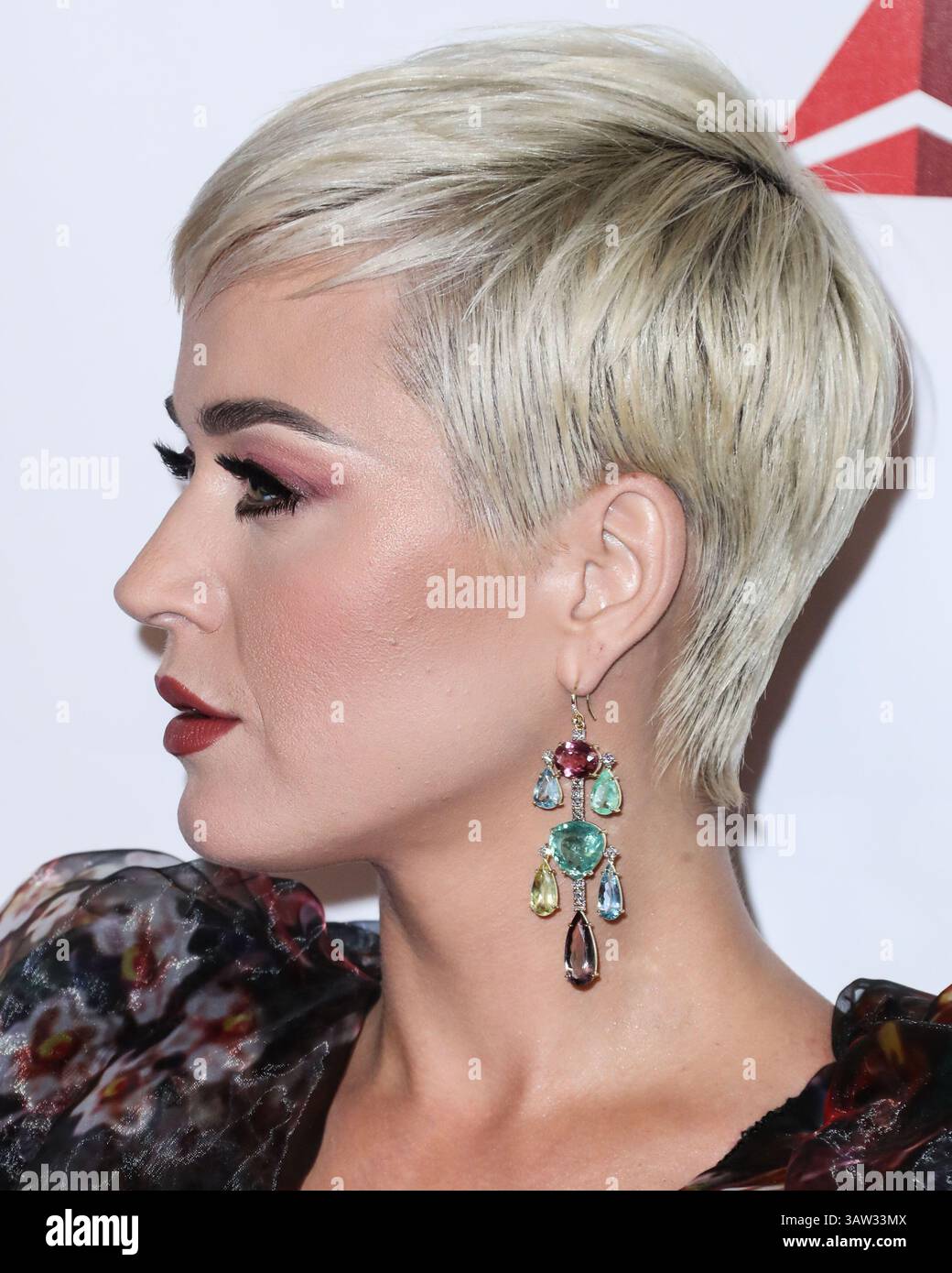 (FILE) Katy Perry Receives Backlash After Blue Origin Space Flight. LOS ...