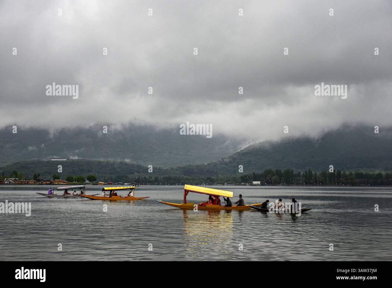 Srinagar, India. 19th Apr, 2025. Boatmen ferry tourists in their boats across the world famous ...