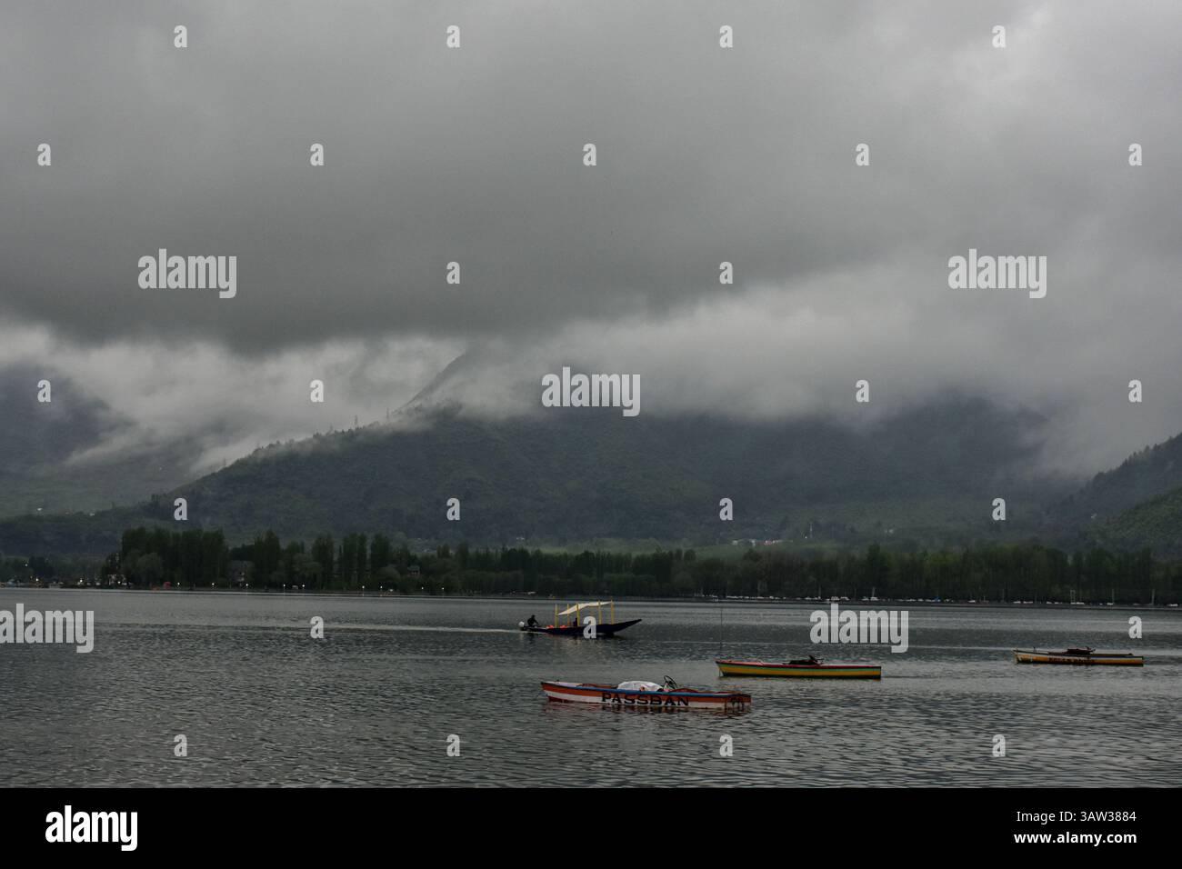 Srinagar, India. 19th Apr, 2025. A Kashmiri boatman rows his boat across the world famous Dal ...
