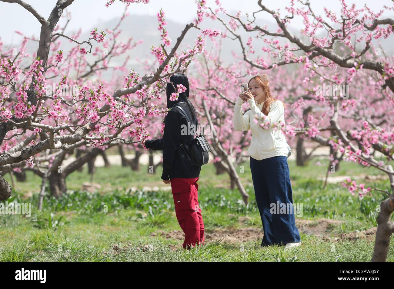 Beijing, China's Gansu Province. 19th Apr, 2025. A tourist poses for ...