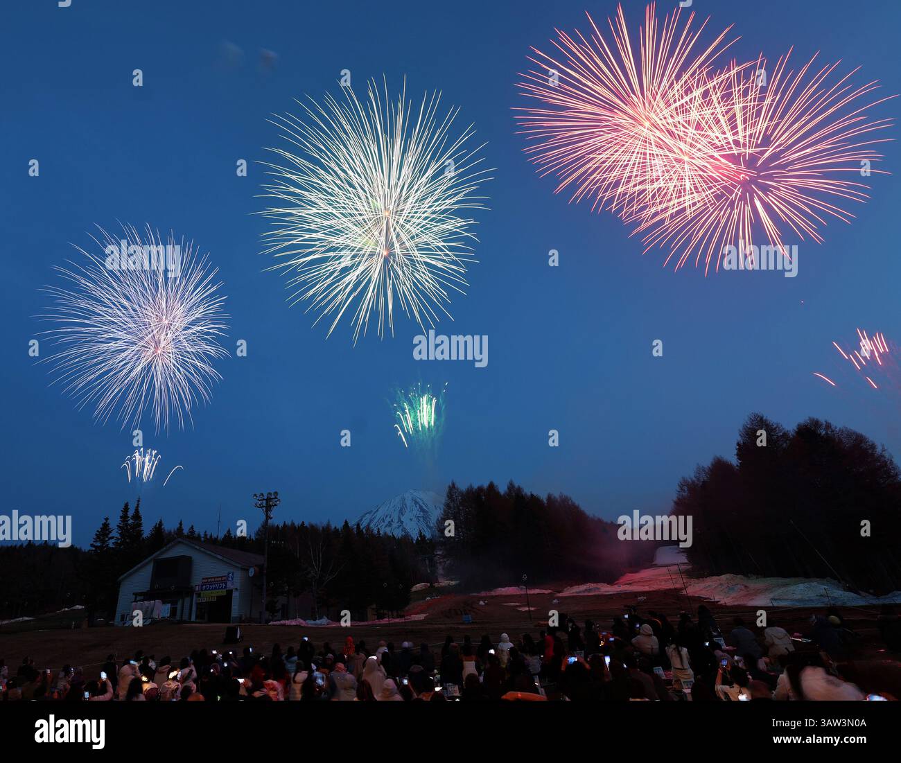 Yamanashi, Japan. 19th Apr, 2025. People watch fireworks during a ...