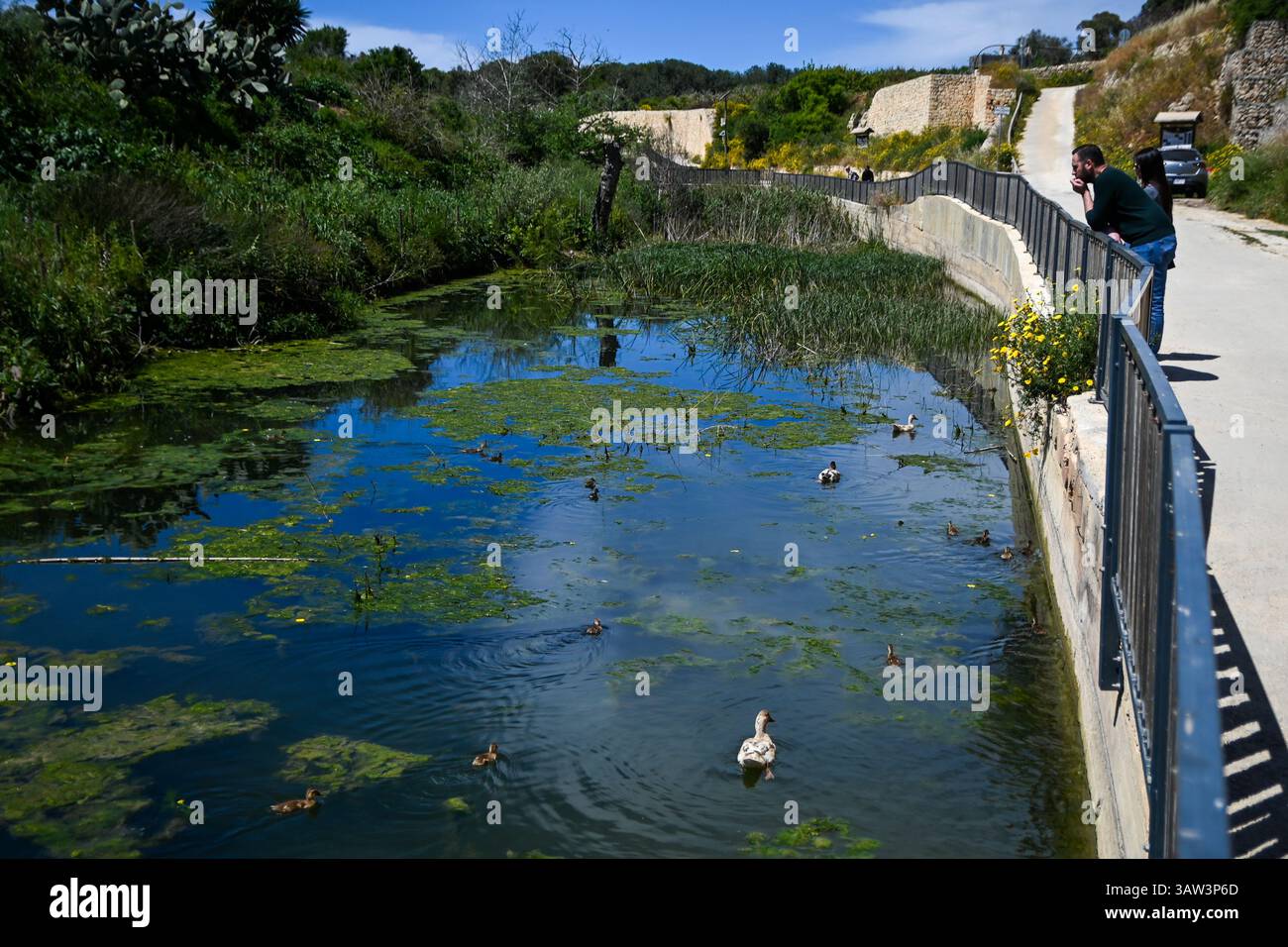 Sparkling 2025 hi-res stock photography and images - Alamy