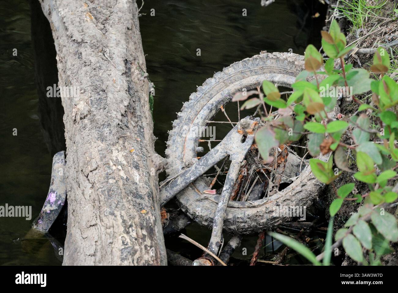 River junk kids bicycle in local river at low water level steep banks ...