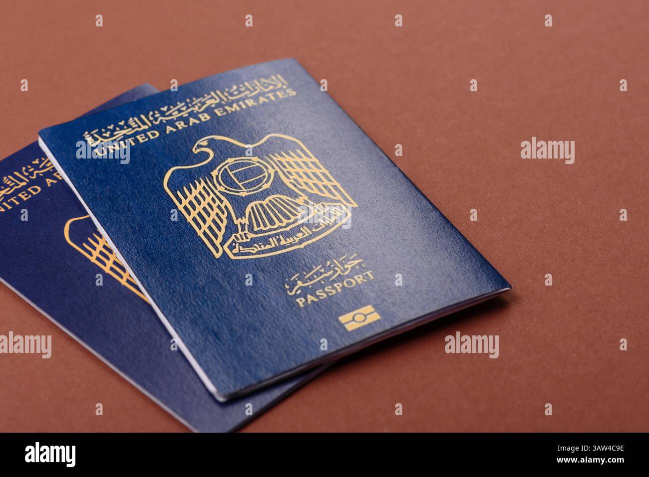 OAE passport for travelling, flying and doing business. Arabic document ...