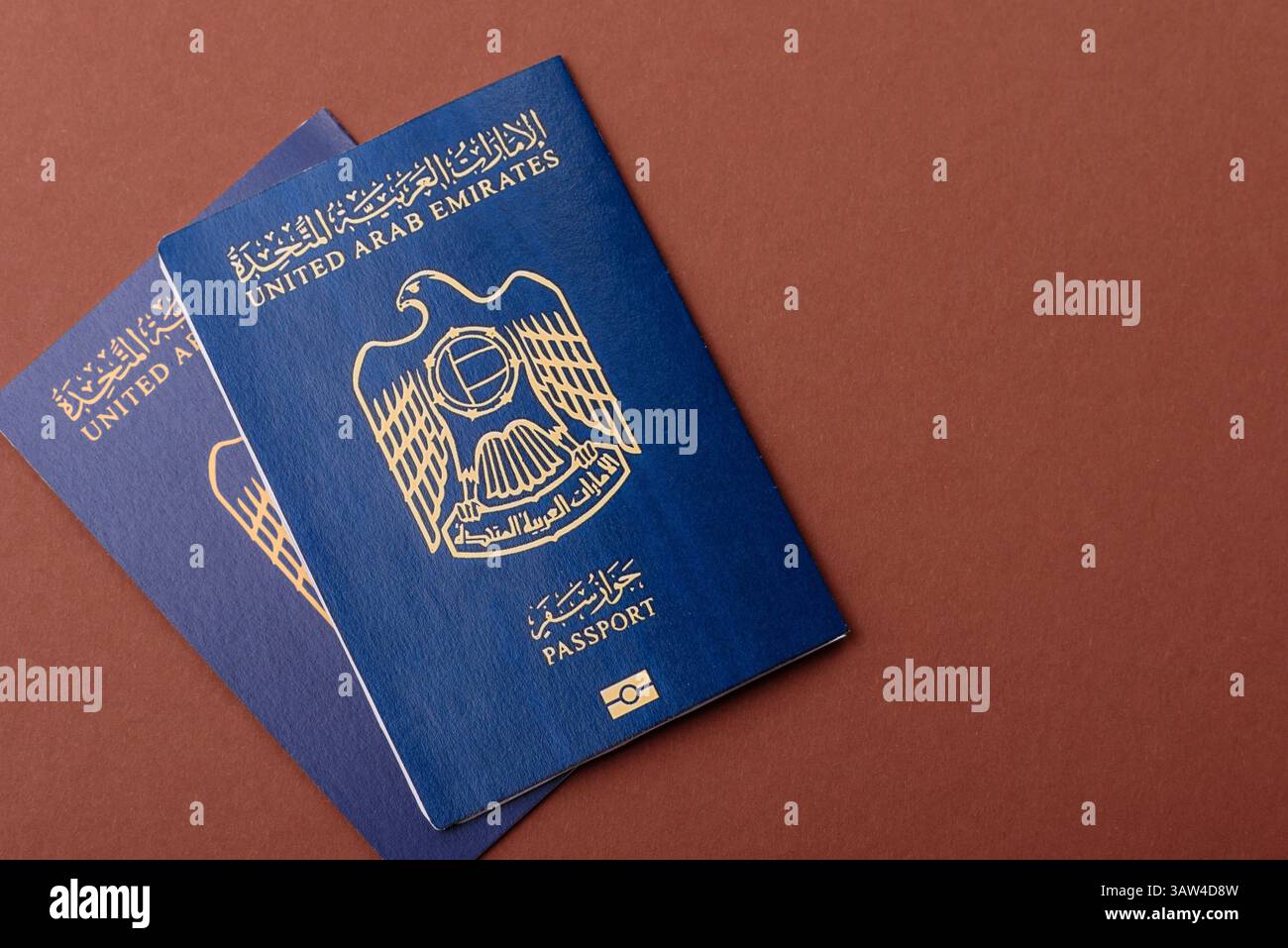 OAE passport for travelling, flying and doing business. Arabic document ...