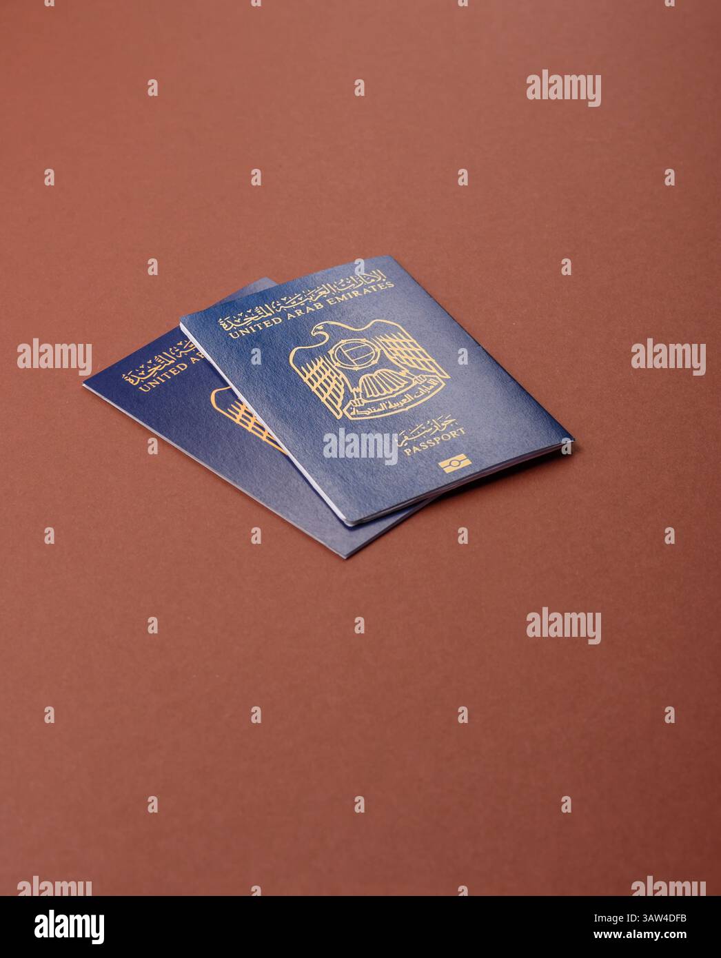 OAE passport for travelling, flying and doing business. Arabic document ...