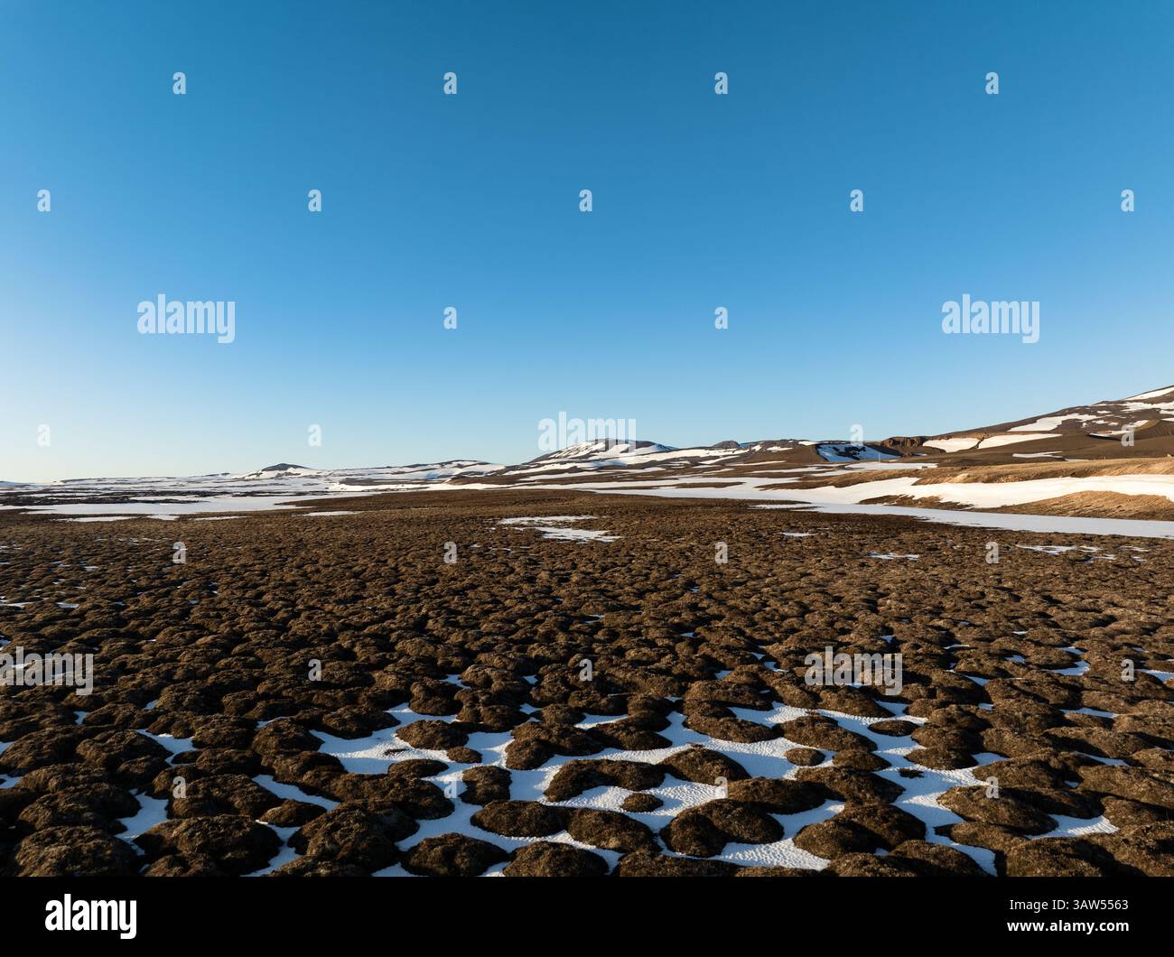 Icelandic volcanic terrain with round moss formations and snow, under a ...