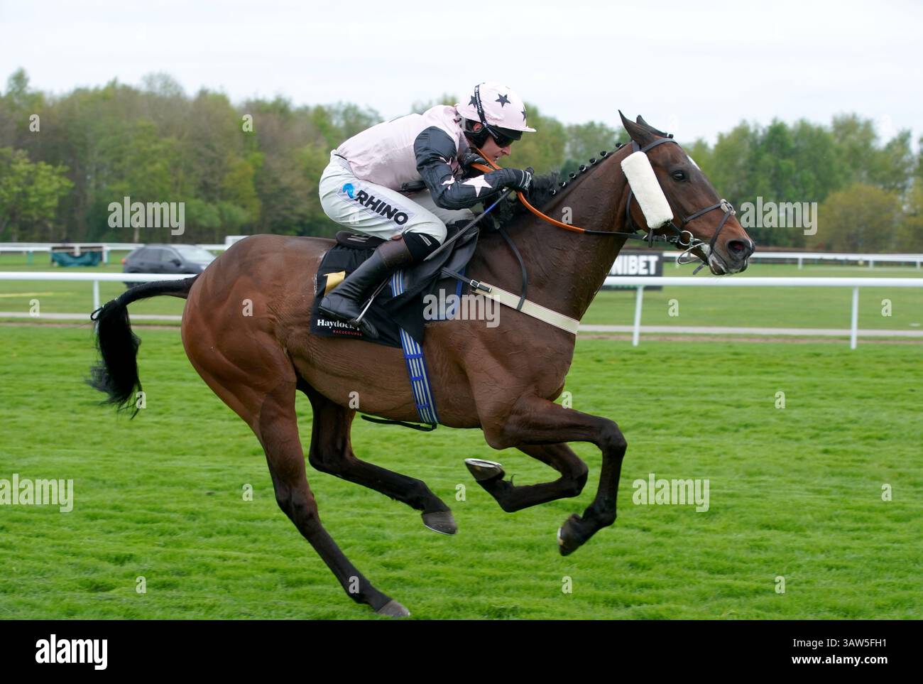 Duke of deception hi-res stock photography and images - Alamy