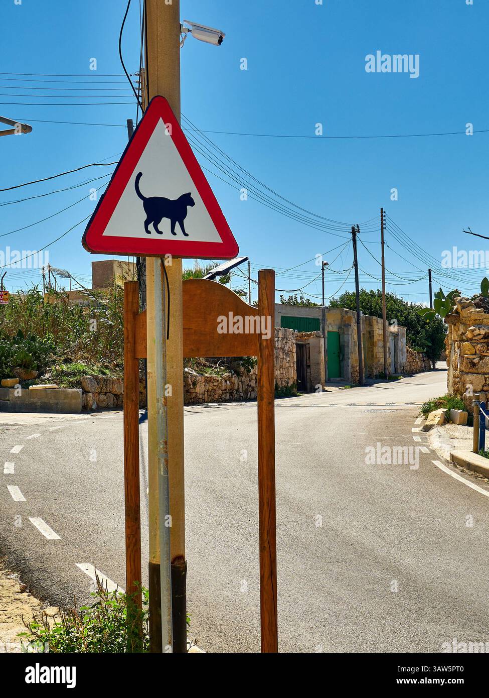 Road sign warning of cats crossing street Stock Photo - Alamy