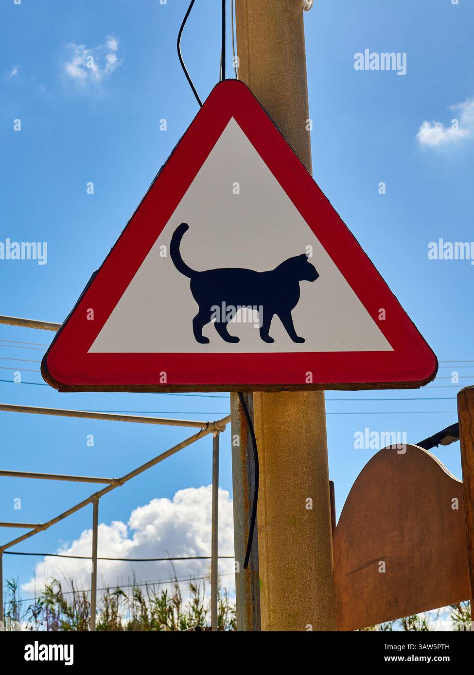 Road sign warning of cats crossing street Stock Photo - Alamy