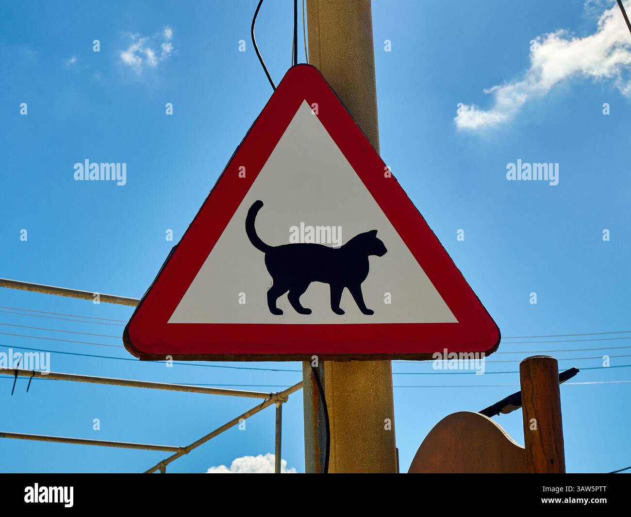 Animal crossing road city hi-res stock photography and images - Alamy