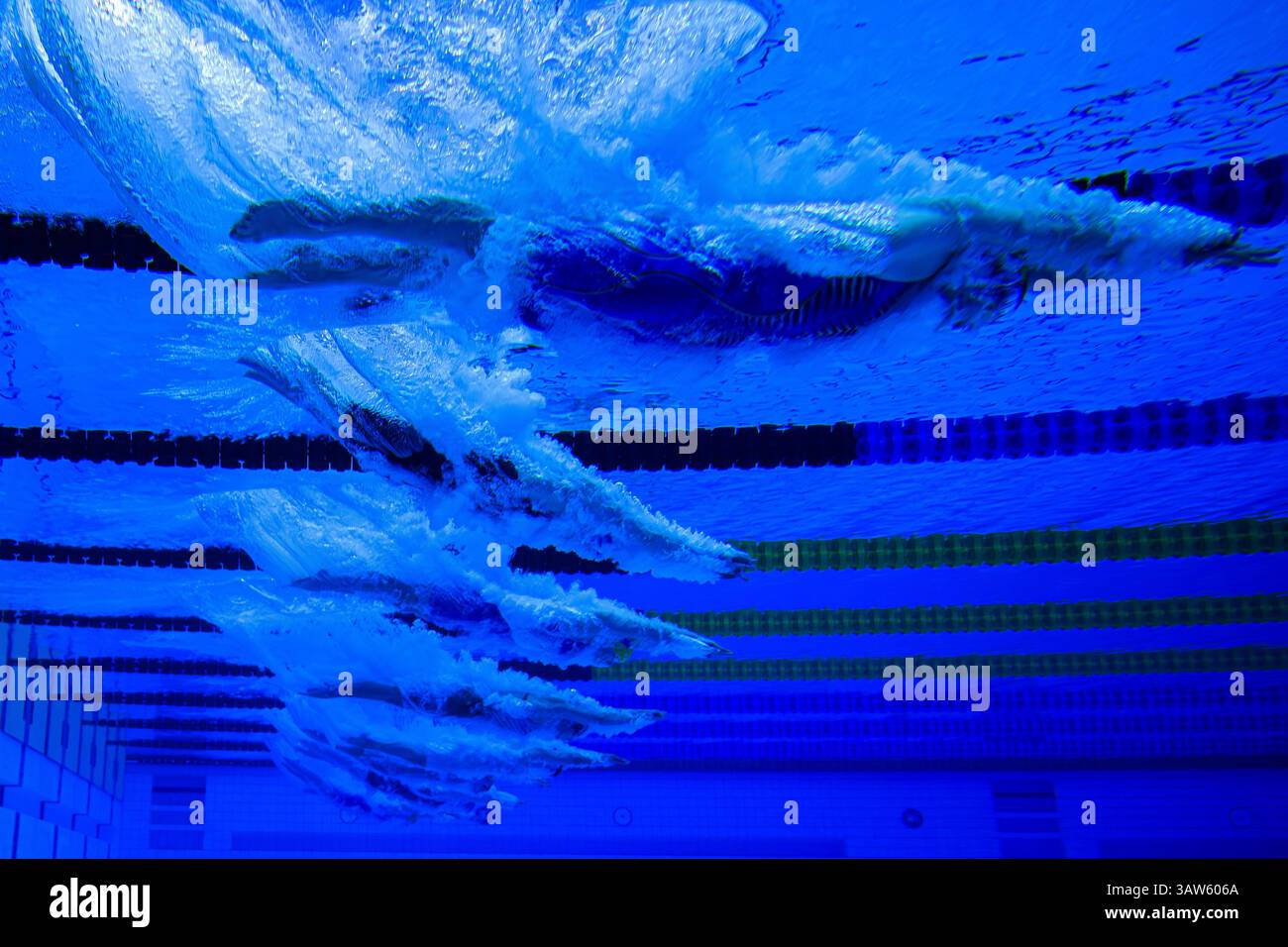 LONDON, UNITED KINGDOM. 19 April, 25. A general underwater view of the ...