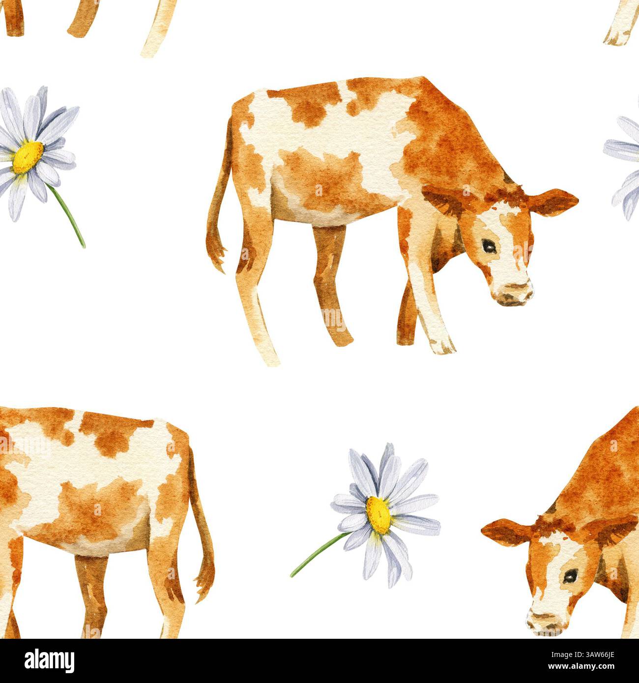 watercolor spotted calf, red young cow, wild white chamomile, daisy ...