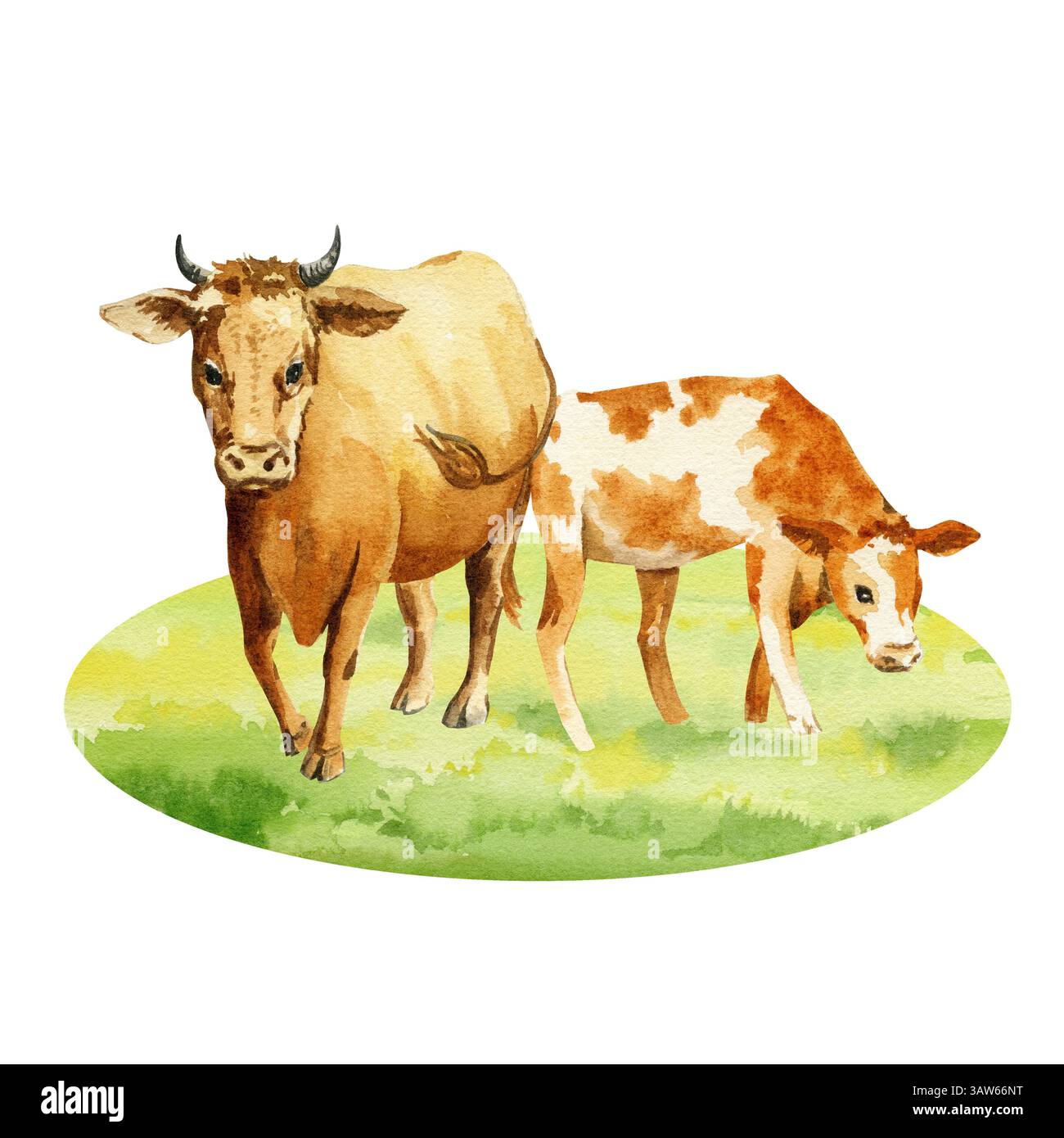 Brown cow in farm Cut Out Stock Images & Pictures - Alamy