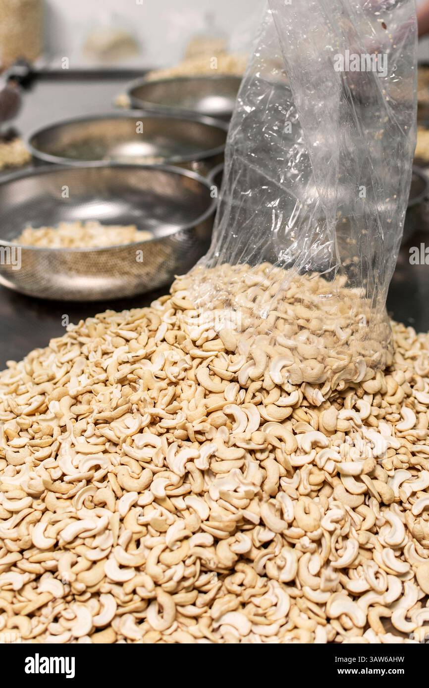 workers sorting cashew nuts inside modern agricultural processing ...