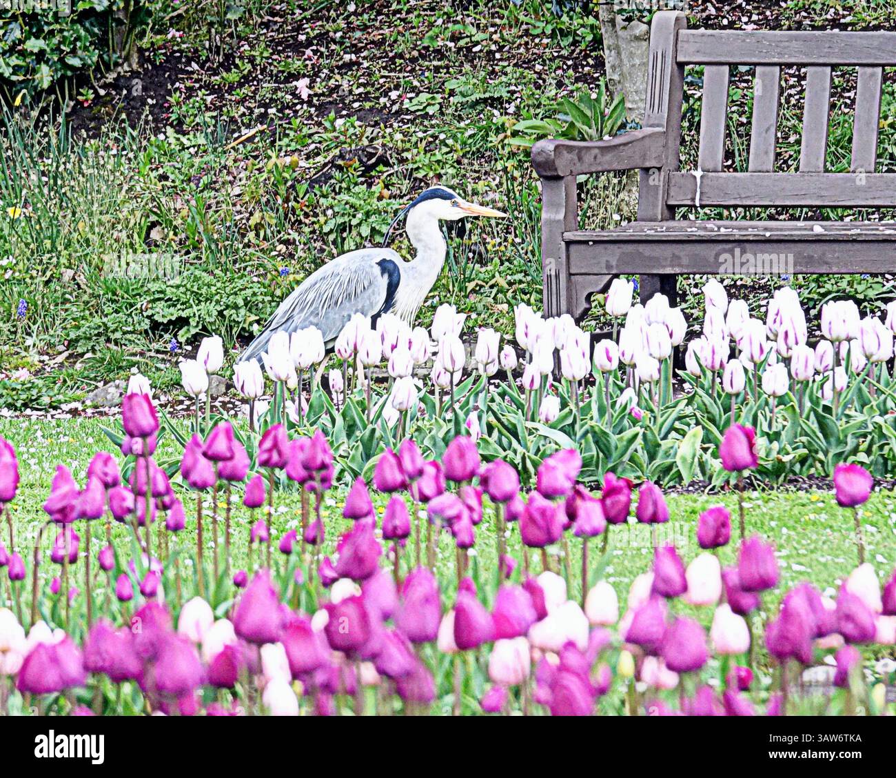 Glasgow, Scotland, UK. 19th April, 2025. UK Weather: Spring saw sun and ...