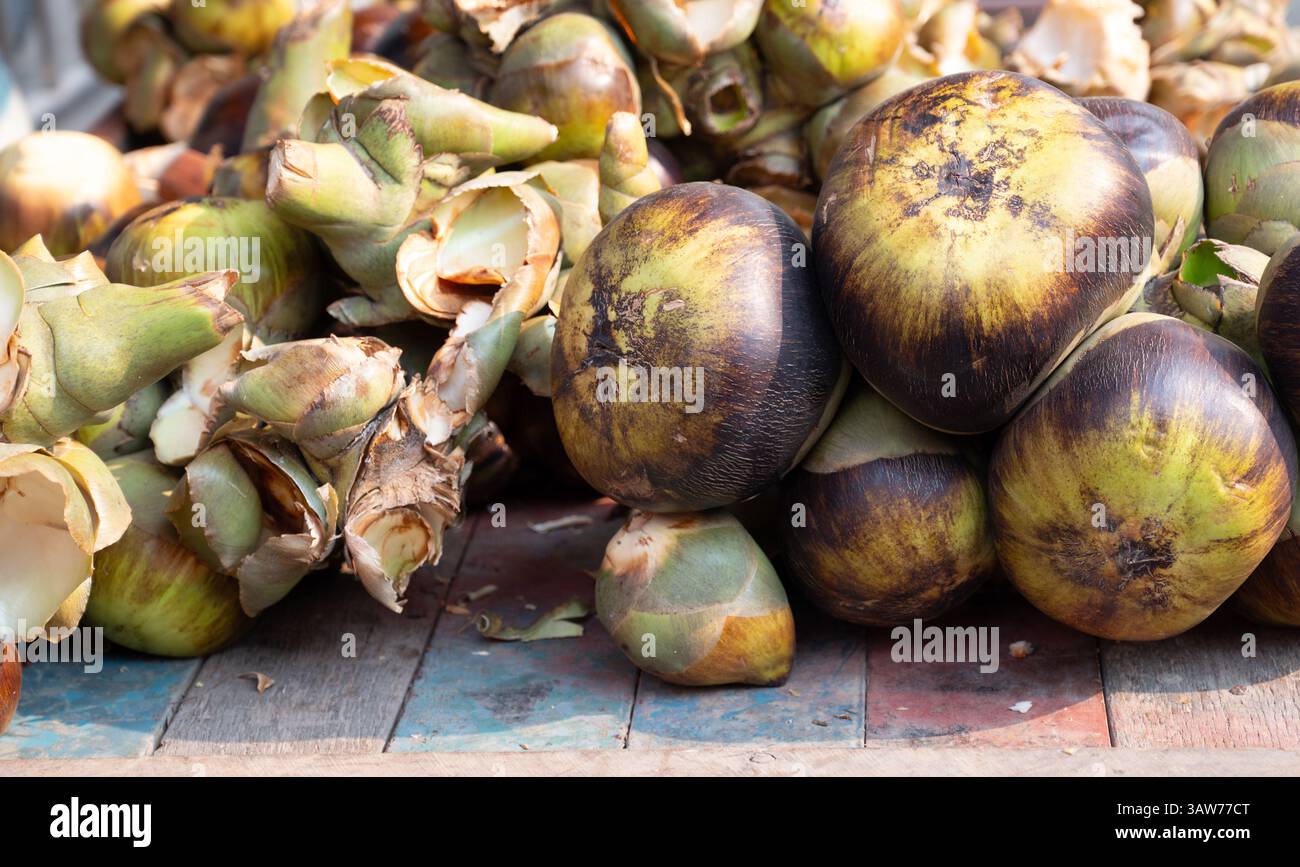 Fresh toddy palm fruit on a market stall in India, tropical fruit ...