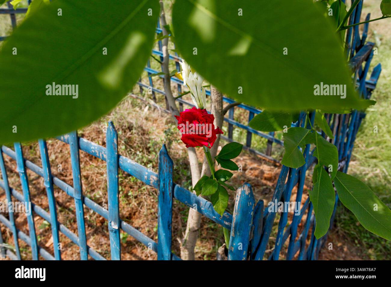 Apr 23, 2016 - Dhaka, , Bangladesh - Bangladeshis observe the third ...