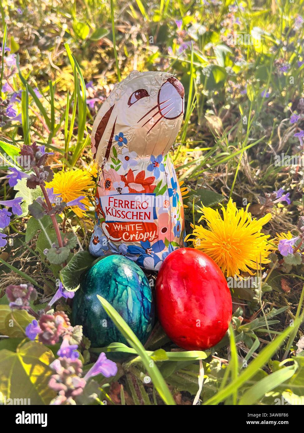 Schokoladenosterhase von Ferrero Küsschen mit bunten Ostereier in der Wiese. Hawangen Bayern ...