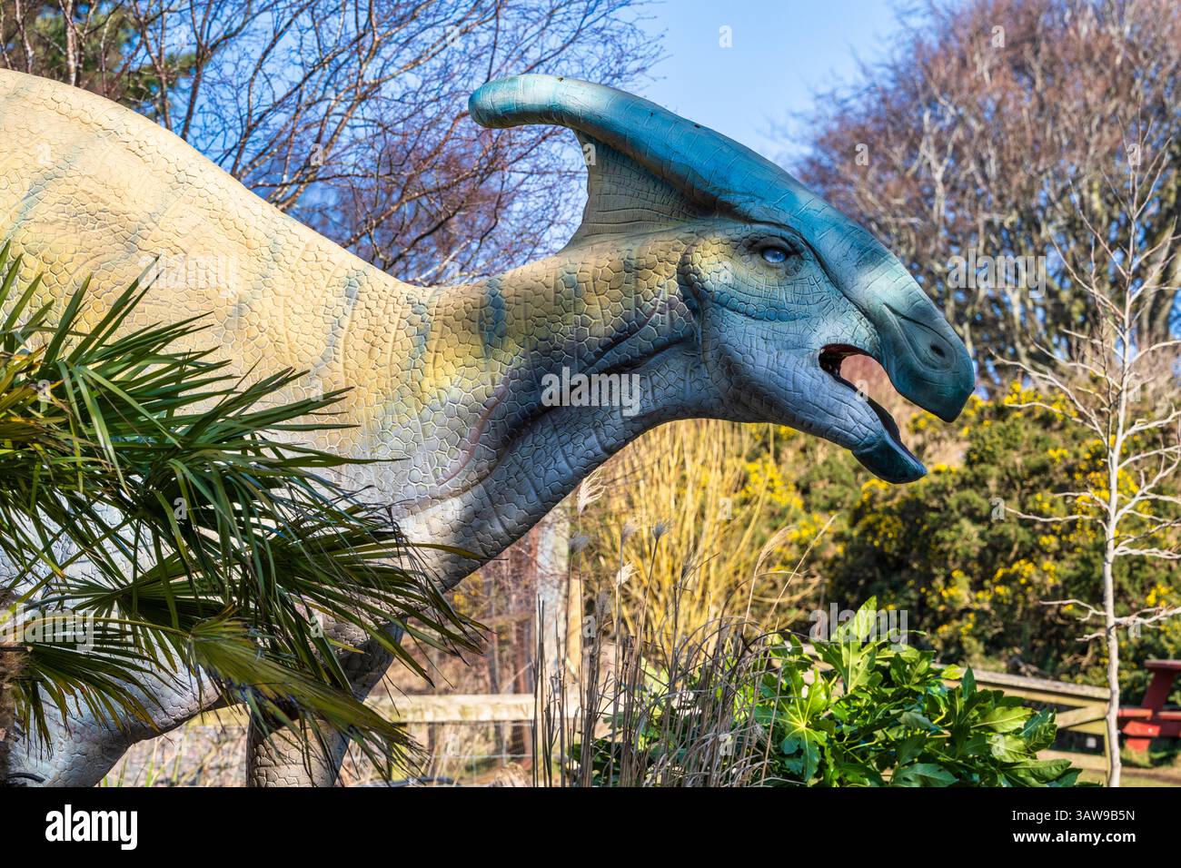 Life-size animatronic model of a Parasaurolophus dinosaur on show in ...