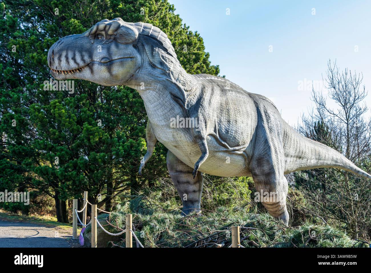 Life-size animatronic model of a Tyrannosaurus Rex dinosaur on show in ...