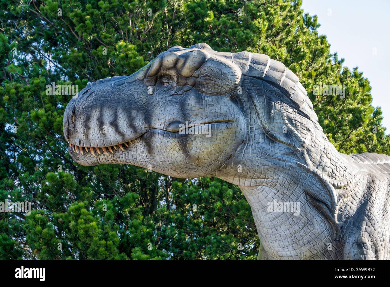 Life-size animatronic model of a Tyrannosaurus Rex dinosaur on show in the dinosaur walk-through ...