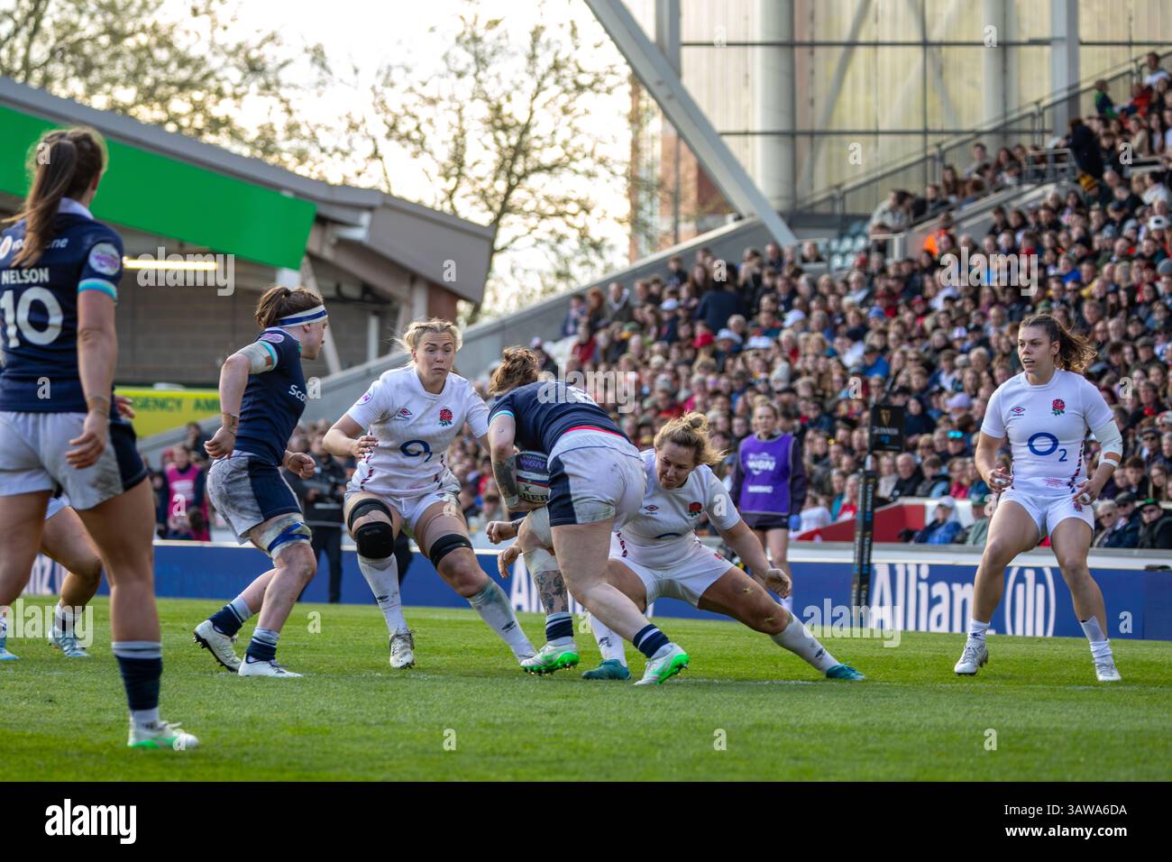 Jade packer hi-res stock photography and images - Alamy