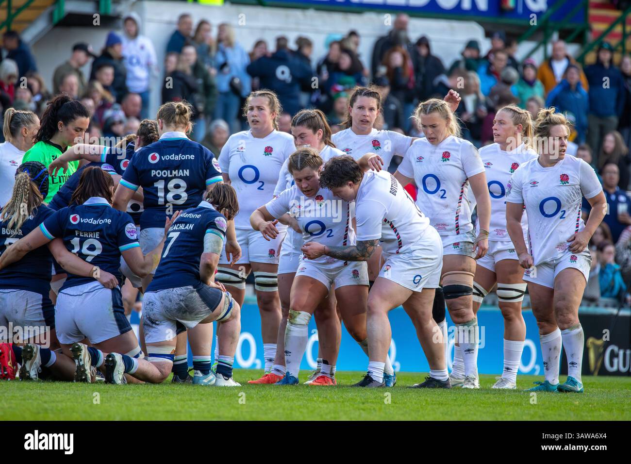 Leicester, UK, 19th April 2025 England and Scotland prepare for a scrum ...
