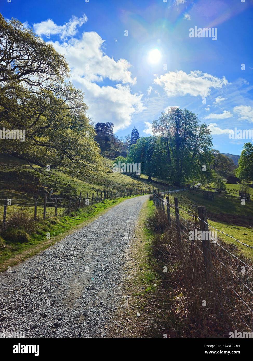 Bright gravel path winds hi-res stock photography and images - Alamy