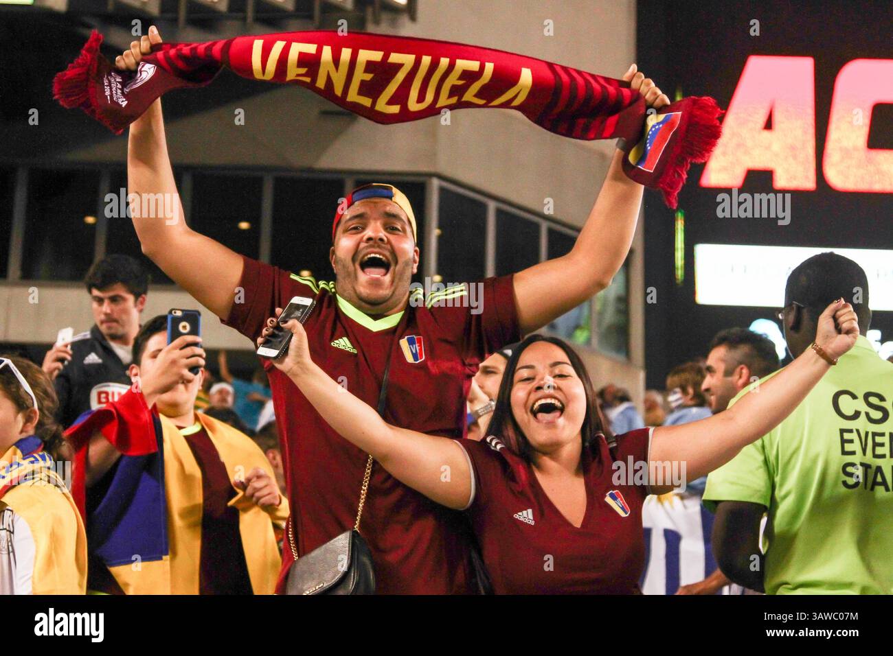 2016 centennial copa america hi-res stock photography and images - Alamy