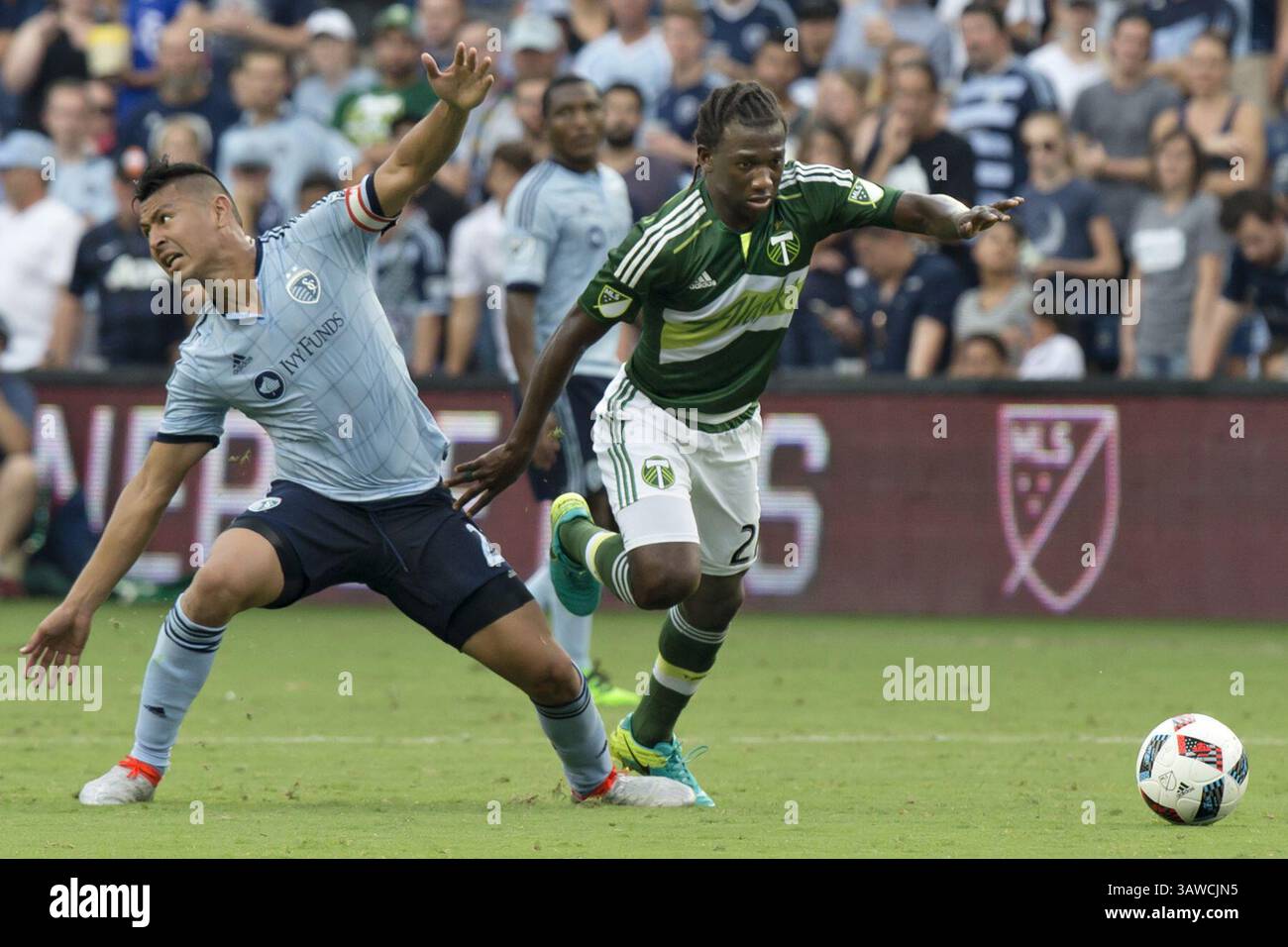 Diegochara hi-res stock photography and images - Alamy