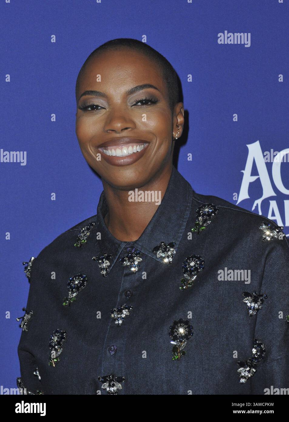 Ca. 19th Apr, 2025. Sasheer Zamata at arrivals for AGATHA ALL ALONG LA ...