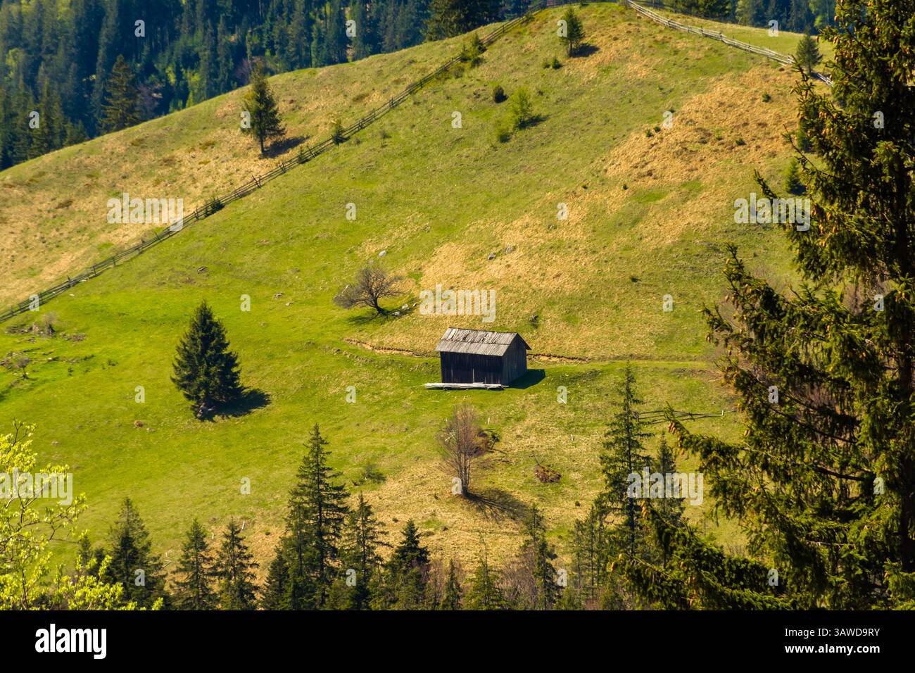 Wooden hut in the hills of Bucovina, at the border between Ukraine and ...