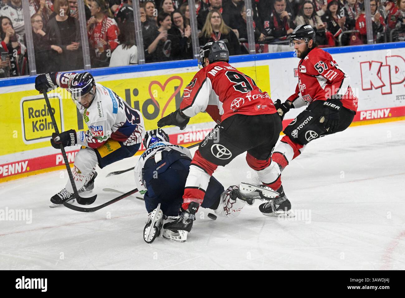 Eishockey DEL - 24/25 - Playoff-Finale Spiel 2: Kölner Haie vs Eisbären ...