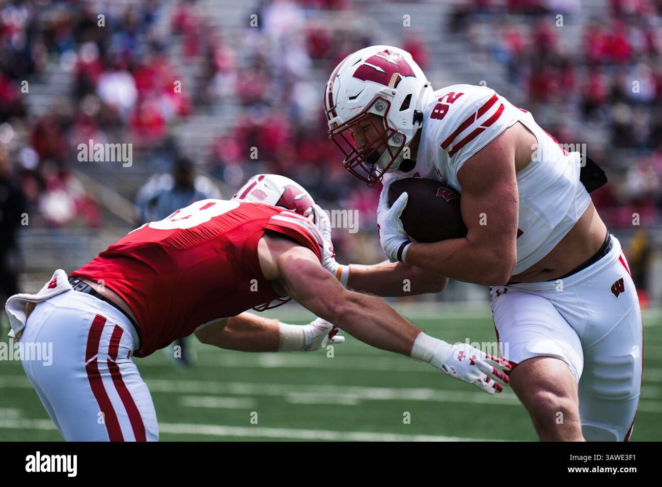 Madison, Wisconsin, USA. 19th Apr, 2025. Wisconsin Badgers tight end ...