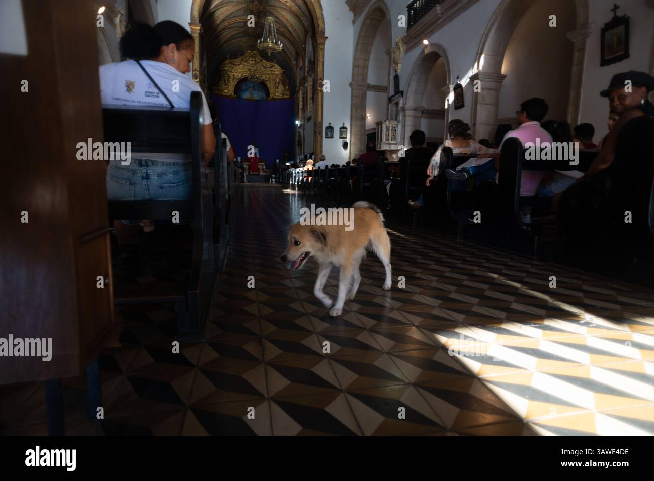 Salvador, Bahia, Brazil - April 18, 2025: Catholics and a dog are seen ...