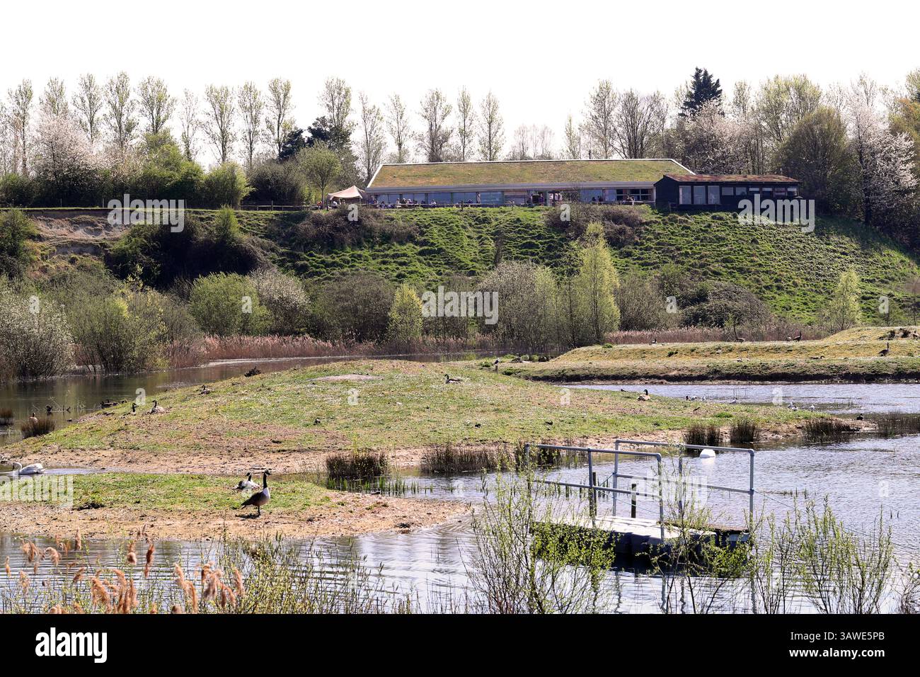 College Lake Nature Reserve, Tring, Buckinghamshire, UK. Berks, Bucks ...