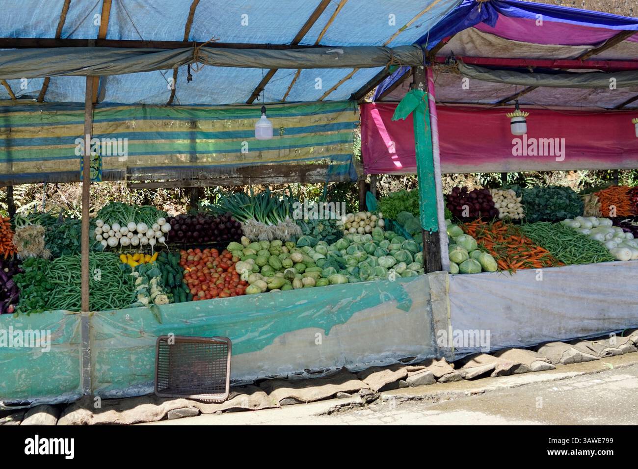 Sri lanka february 2025 hi-res stock photography and images - Alamy