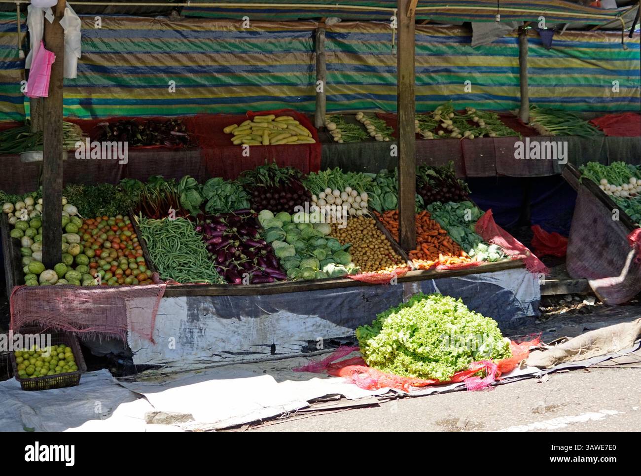 Sri lanka february 2025 hi-res stock photography and images - Alamy