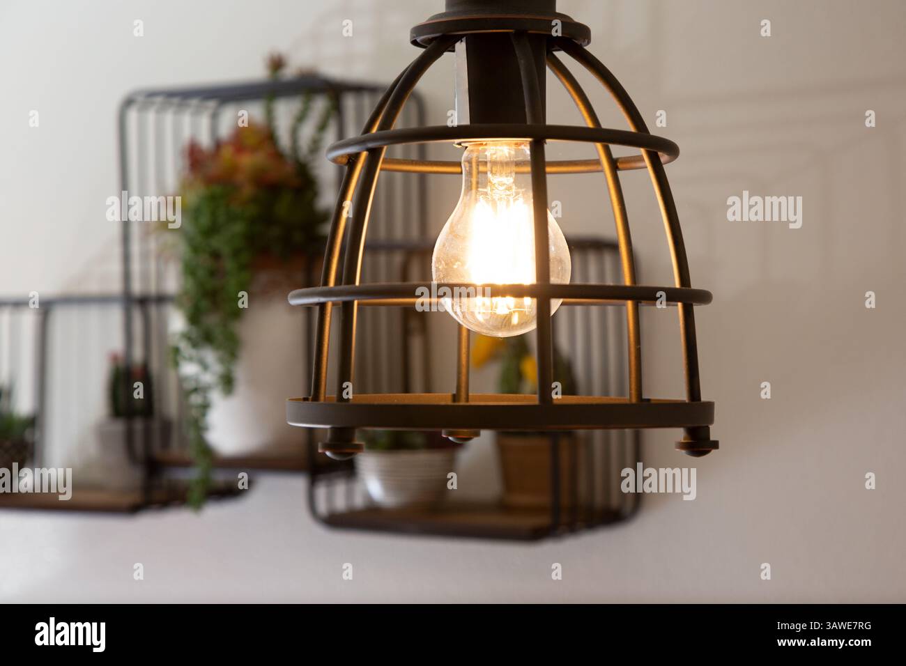 A view of a contemporary light fixture and a mounted wall decor design ...