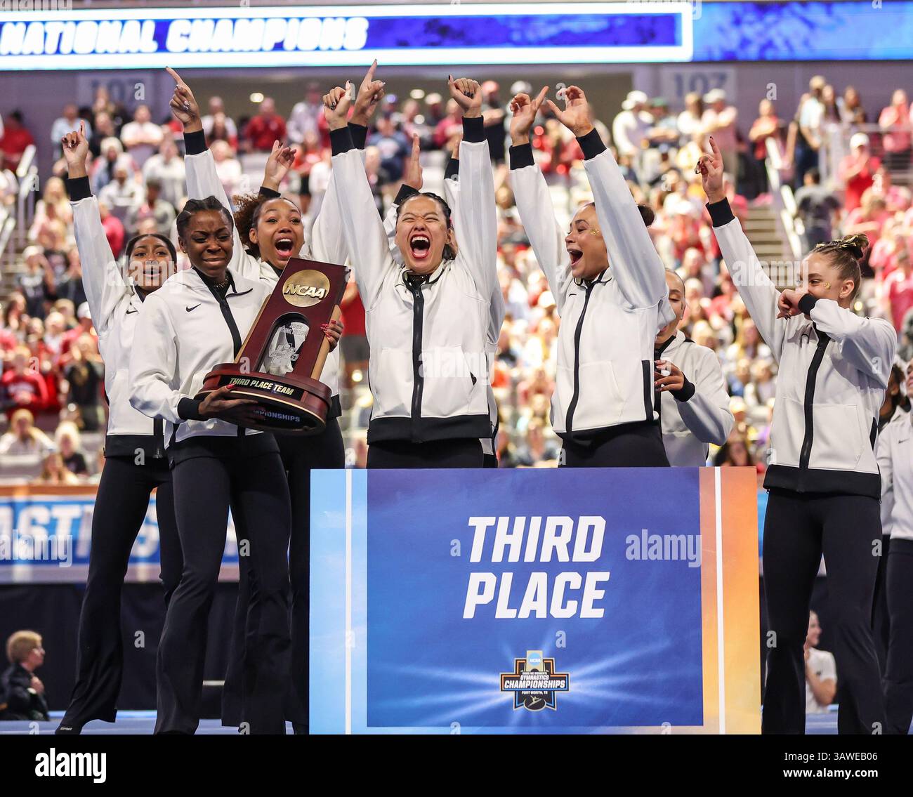 April 19, 2025: The Missouri women's gymnastics team celebrates their ...