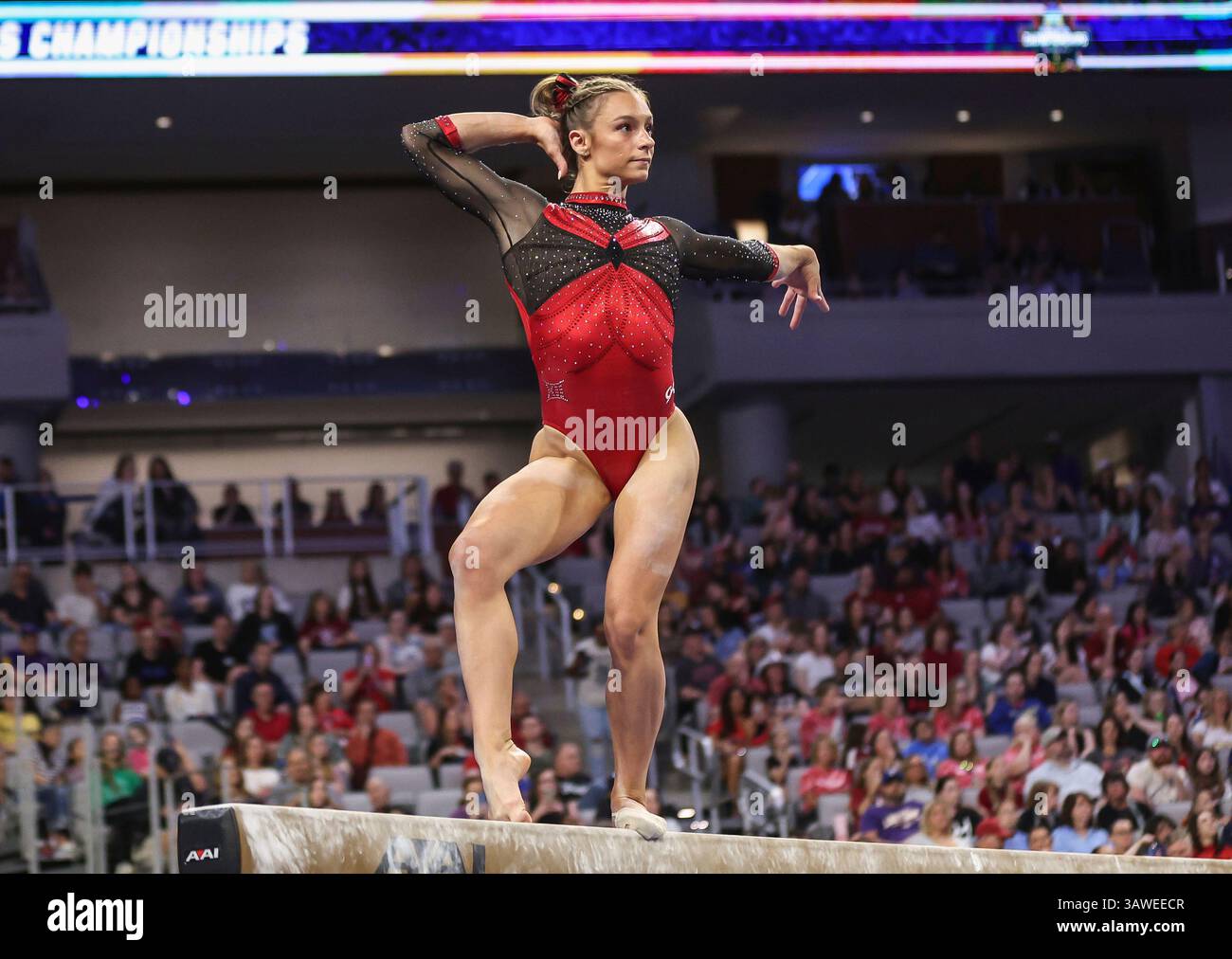 April 19, 2025: Utah's Grace McCallum on the balance beam during the ...